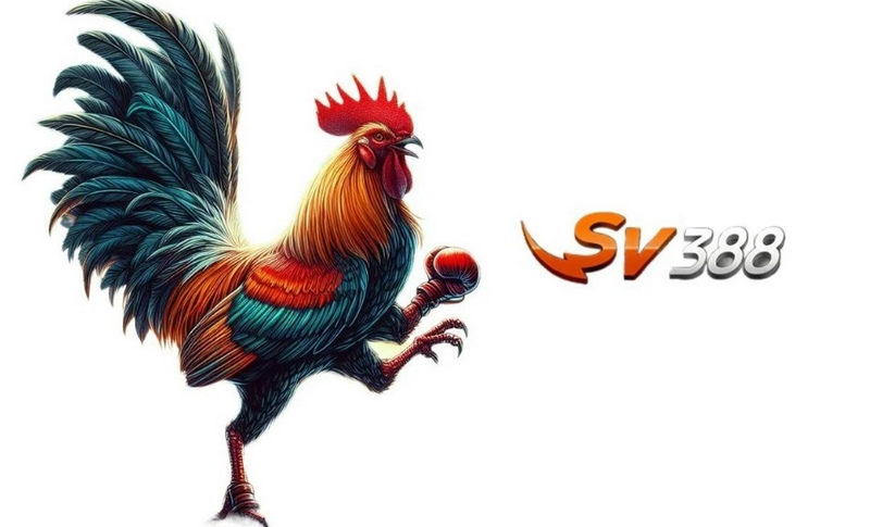 Đăng Nhập Sv388: Hướng Dẫn Từng Bước Cho Người Mới Bắt Đầu